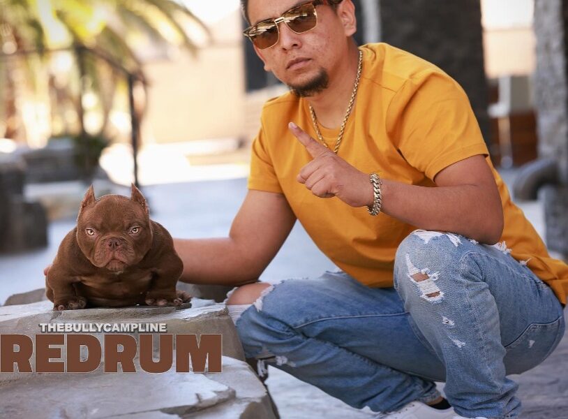 Jorge Soto is an Artist who developed on the Rap scene - Leonard Magazine